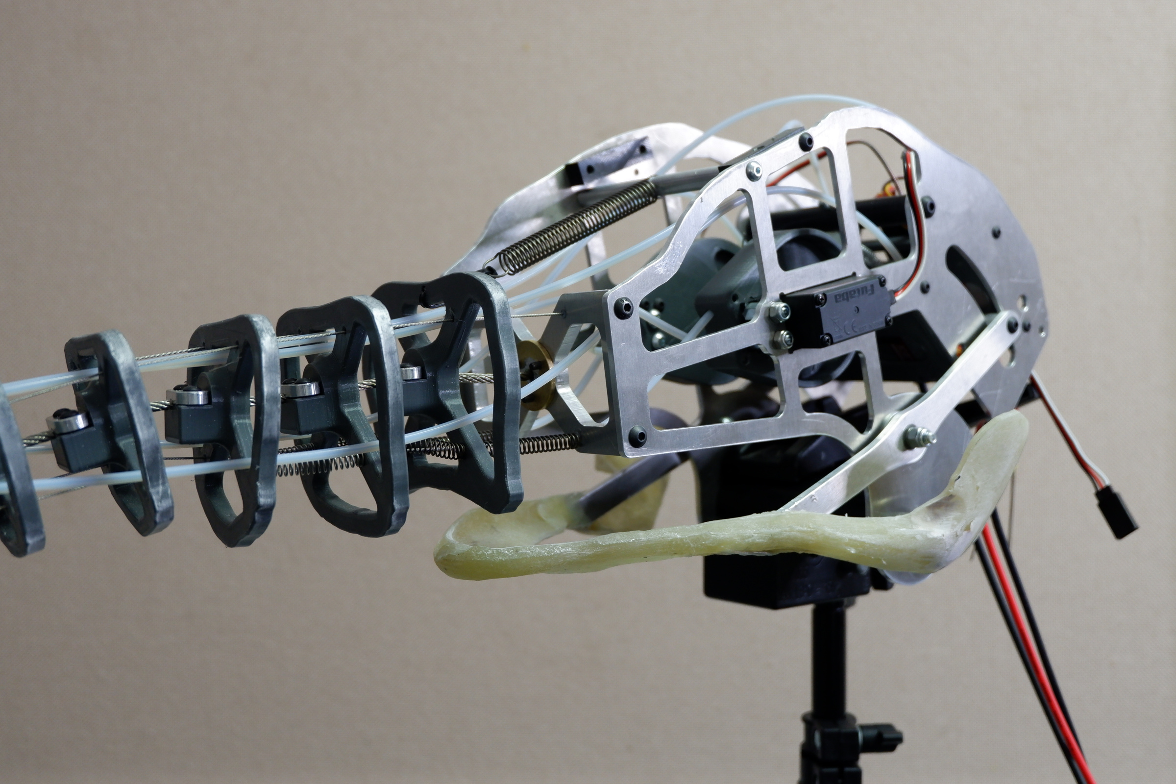 Animatronic alien with spiney nose, eye lids and cable controlled mouth ...